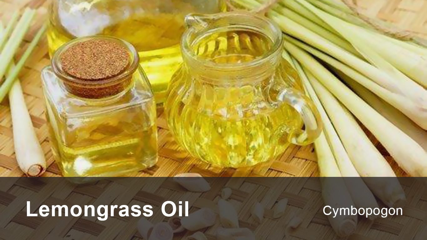 Lemongrass Oil - Adler International